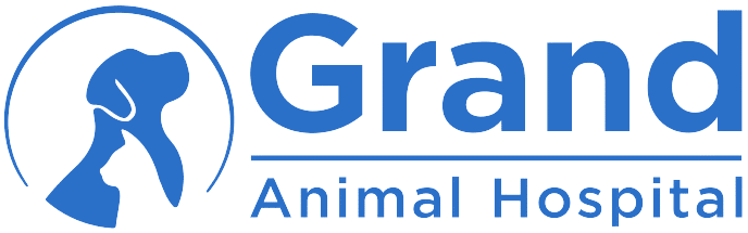 Our Client Success Stories | myVETgroup